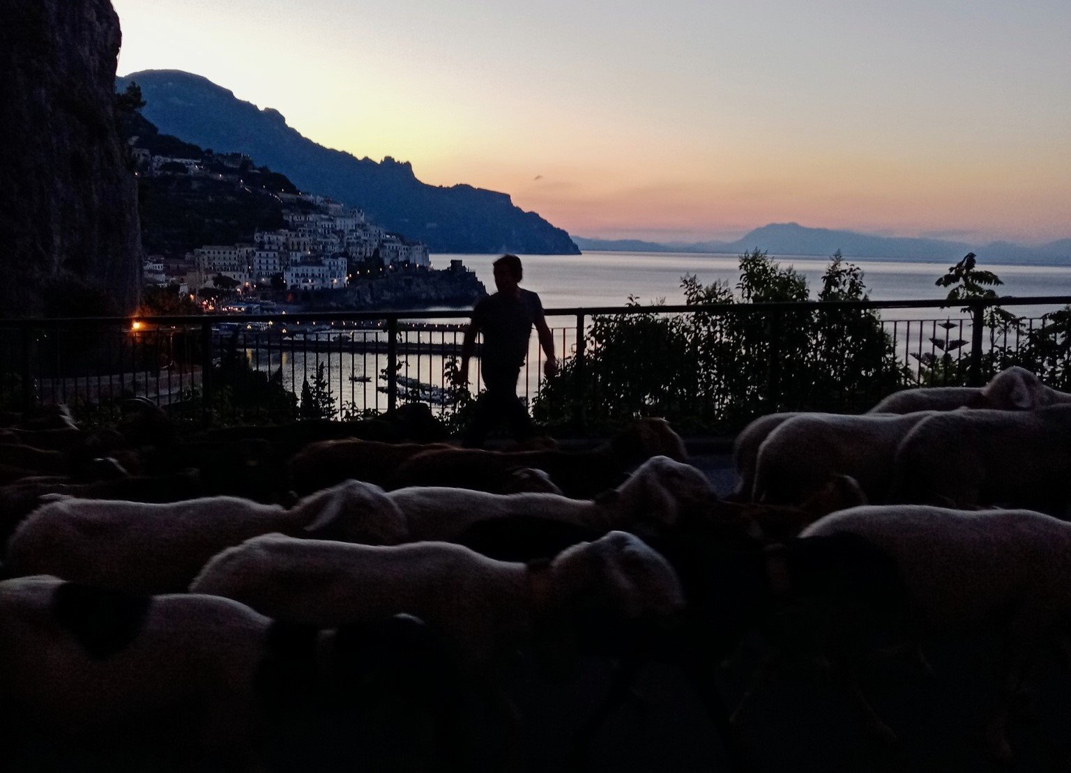 Il Vescovado - In Costiera Amalfitana l'antico rito della transumanza ... Il Vescovado - In Costiera Amalfitana l'antico rito della transumanza ...